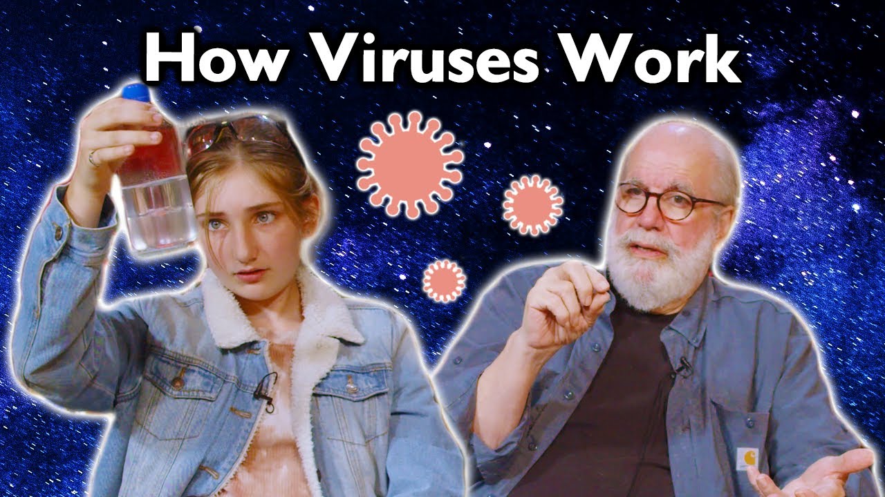 Viruses and Vaccines // How do they work? - YouTube