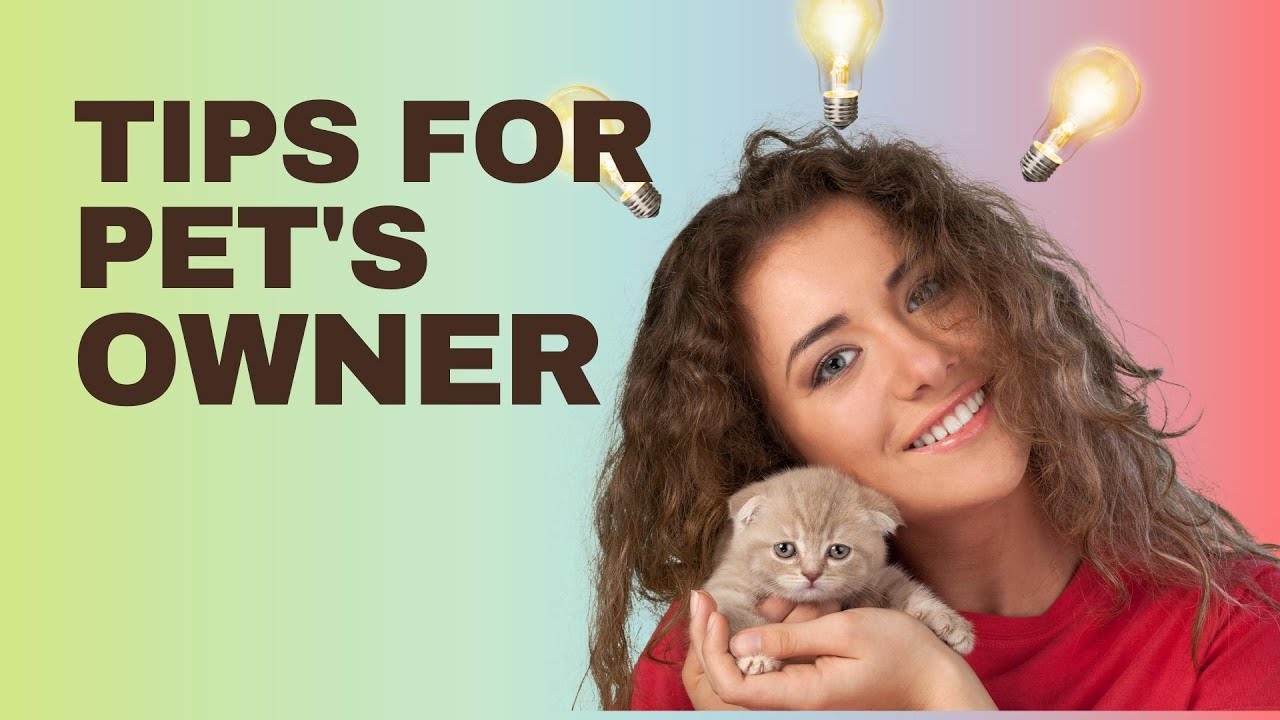 HOW TO BE A GOOD PET OWNER? - YouTube