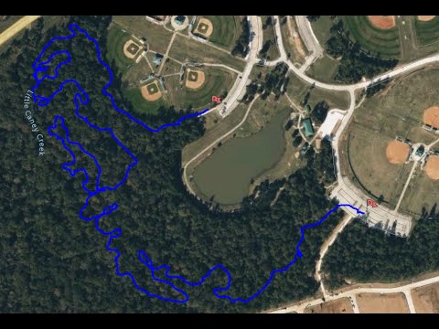 03/06/2021 Carl Barton Jr Park Trail Hike - YouTube