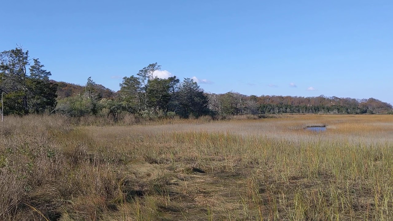 Flax Pond 6 - YouTube