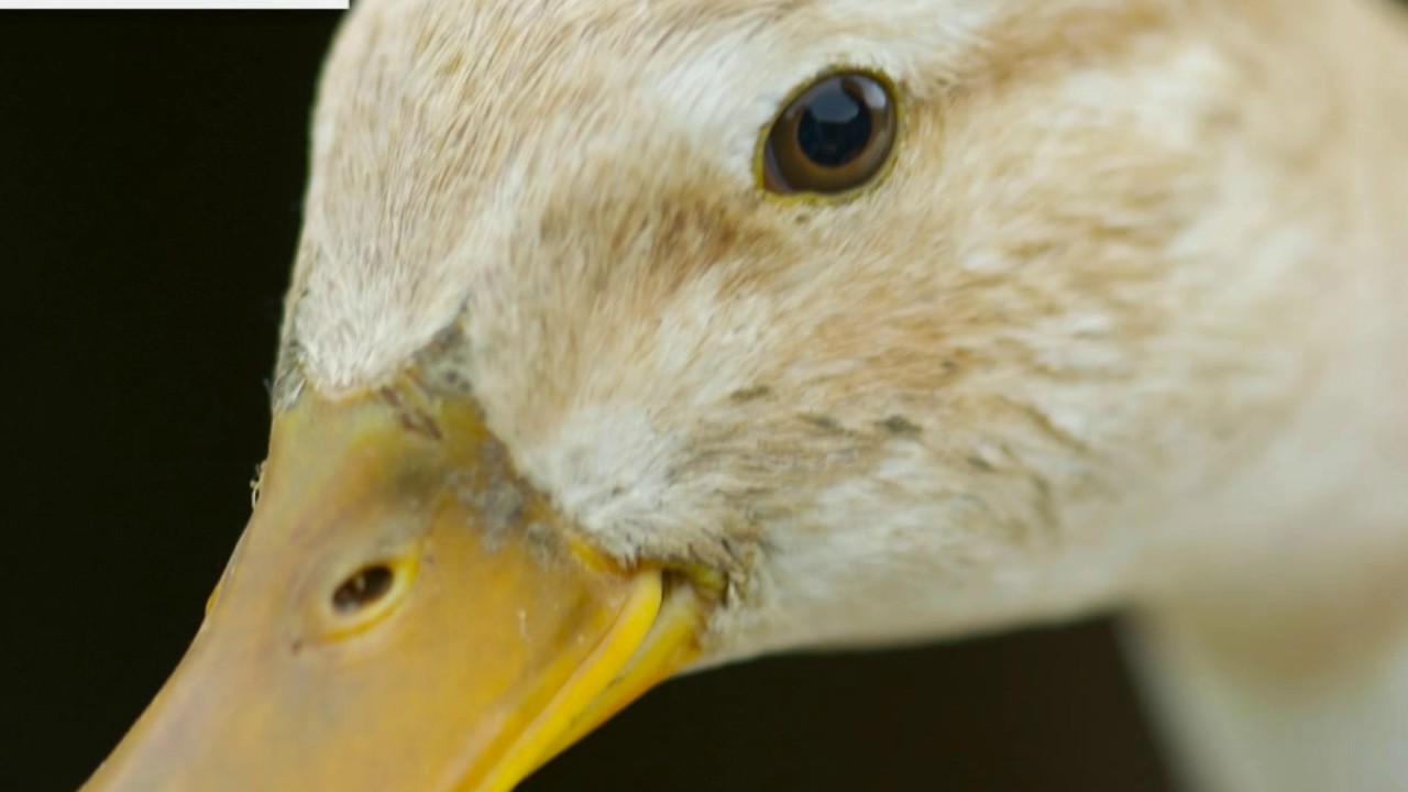 Thanks lee - YouTube