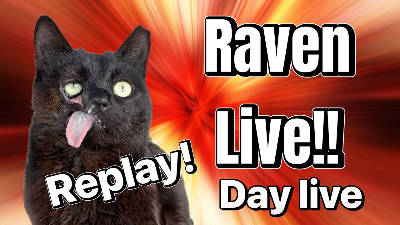 I am Raven is live - YouTube