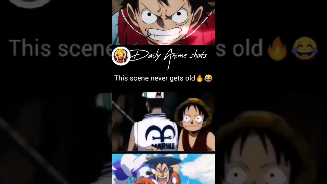 Luffy is playing hide and seek with Marine 🤣🤣 | One piece - YouTube