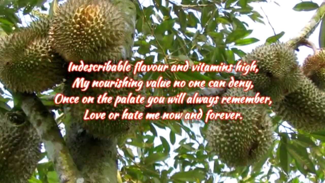 King of Fruits - A Durian Poem - YouTube