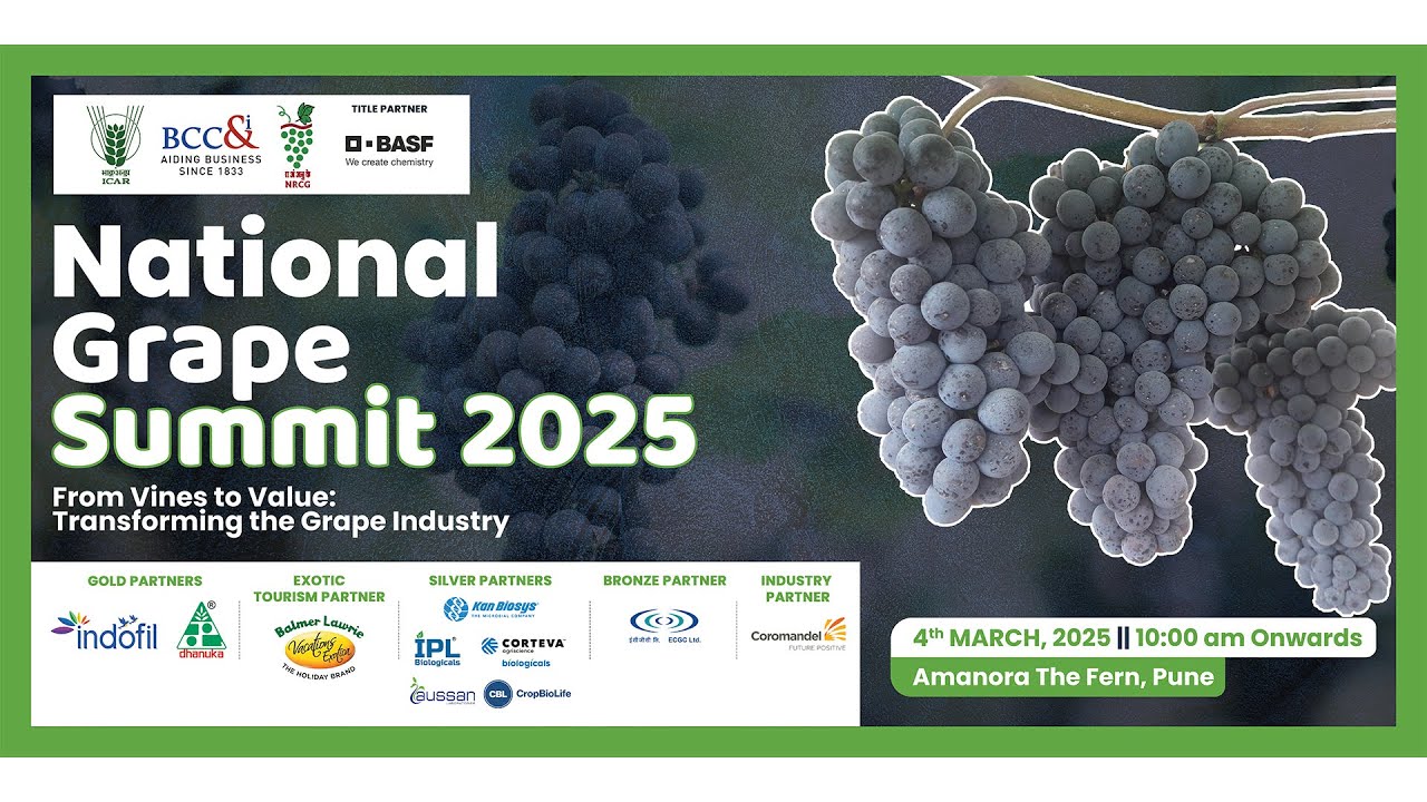 NATIONAL GRAPE SUMMIT 2025 - YouTube