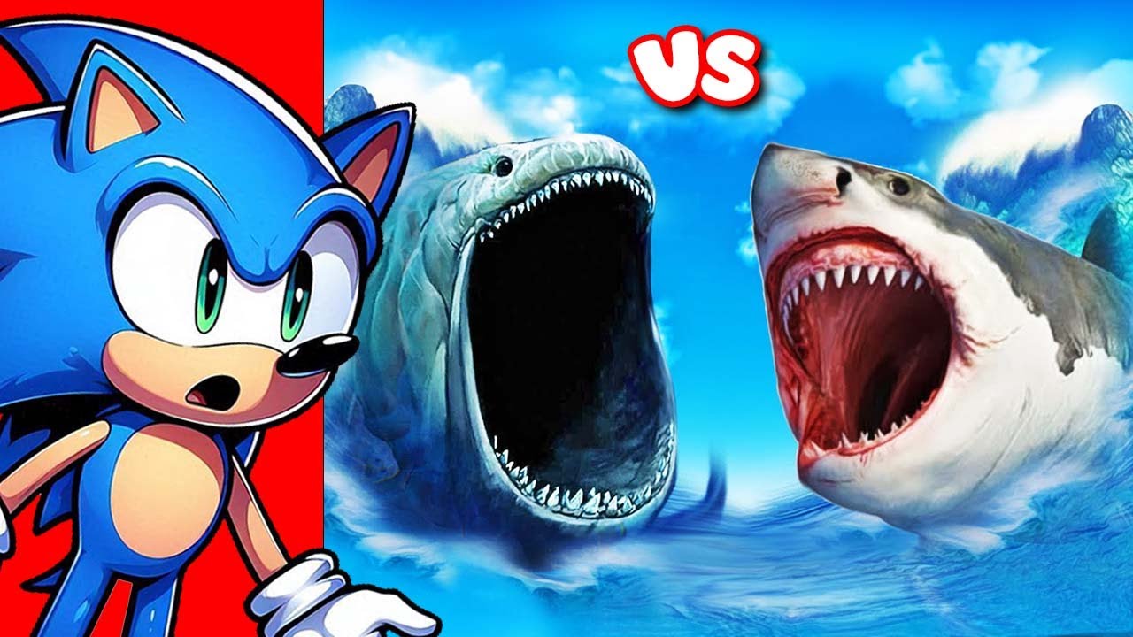 Sonic Reacciona a BLOOP vs el Megalodón Más Fuerte del Mundo - YouTube