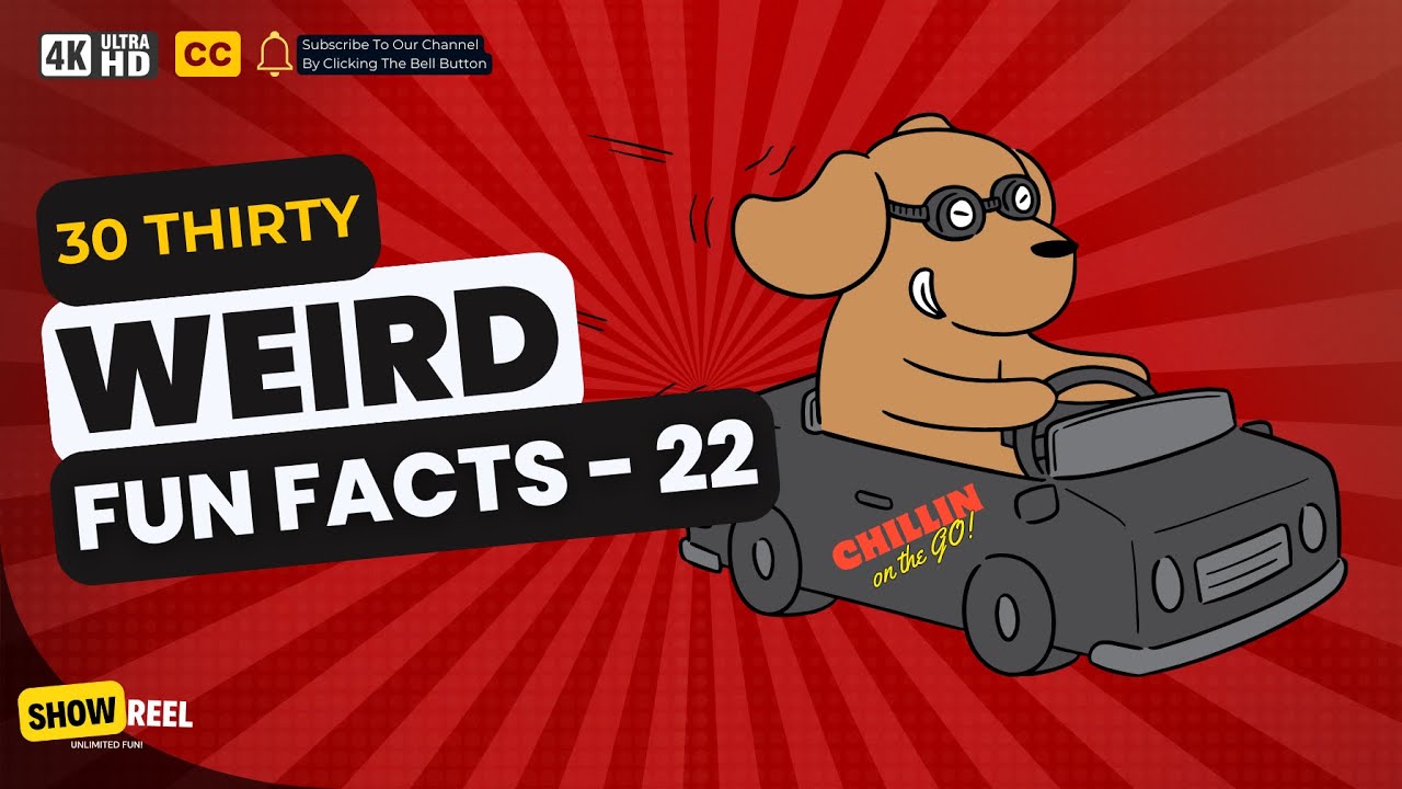 30 Weird Fun Facts You Won't Believe Are Real | Part 22 | Random Facts ...