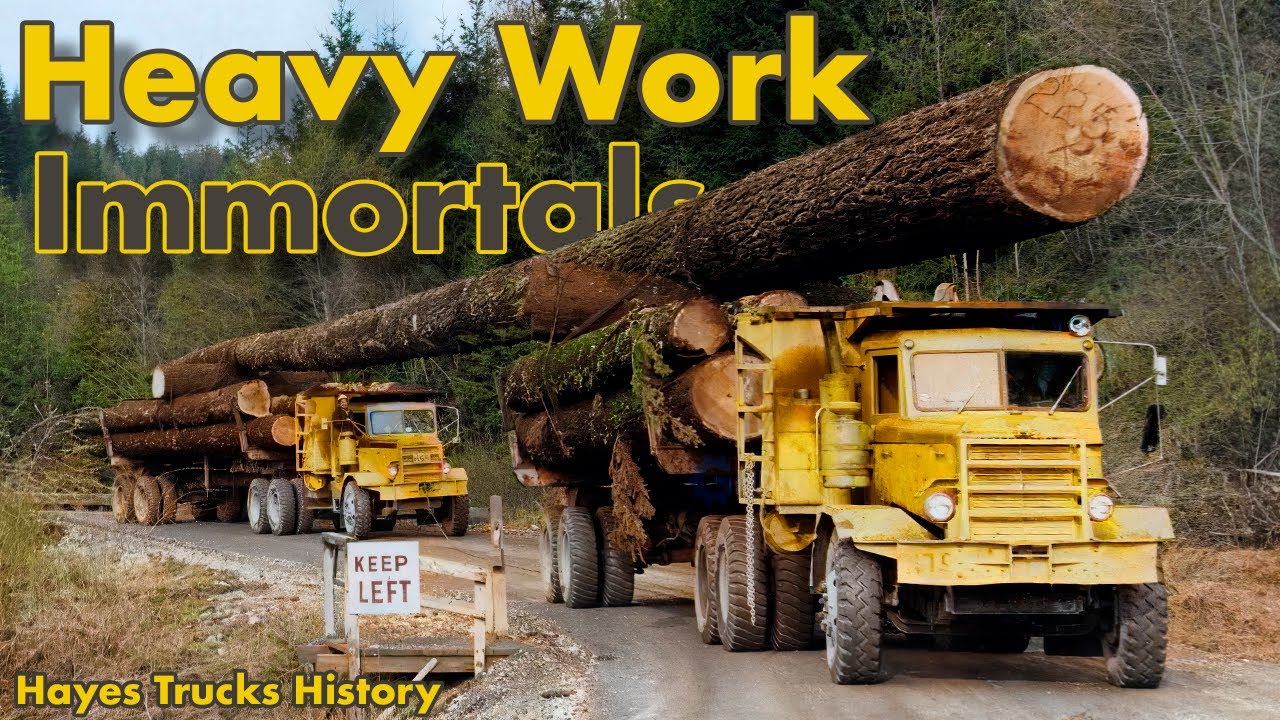 The Day Hayes Transported a GIANT 76-Meter Log to England - The Story ...