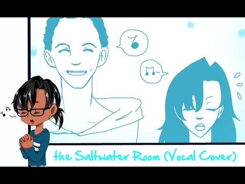 Owl City - The Saltwater Room (Cover) 【Mayden feat Ani】 - YouTube