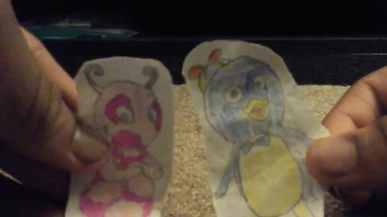 the backyardigans song: pirate camp - YouTube