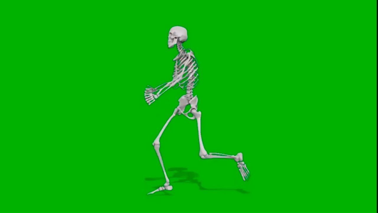 Walking and dancing skeleton-Free Green Screen - YouTube