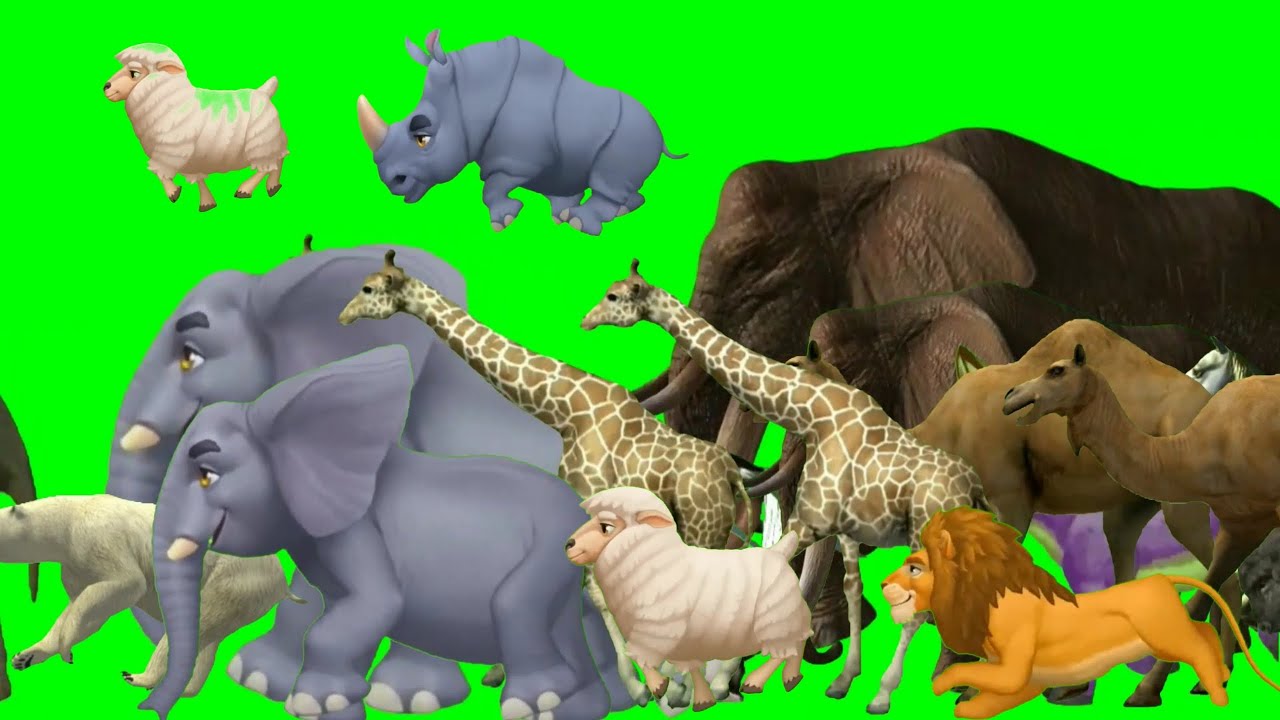Funny animal green screen | Animals stampede green screen free to use ...