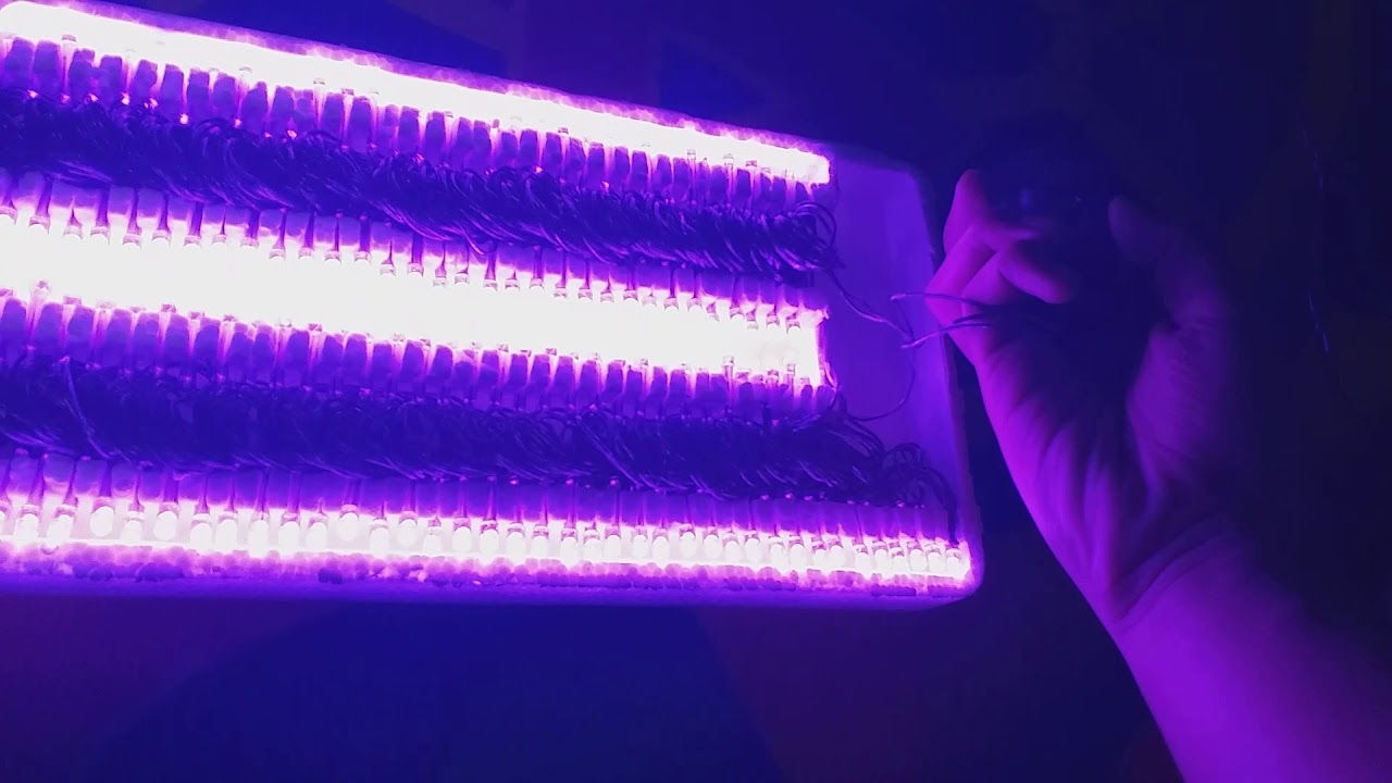 Serie Musical de 140 luces color morado - YouTube