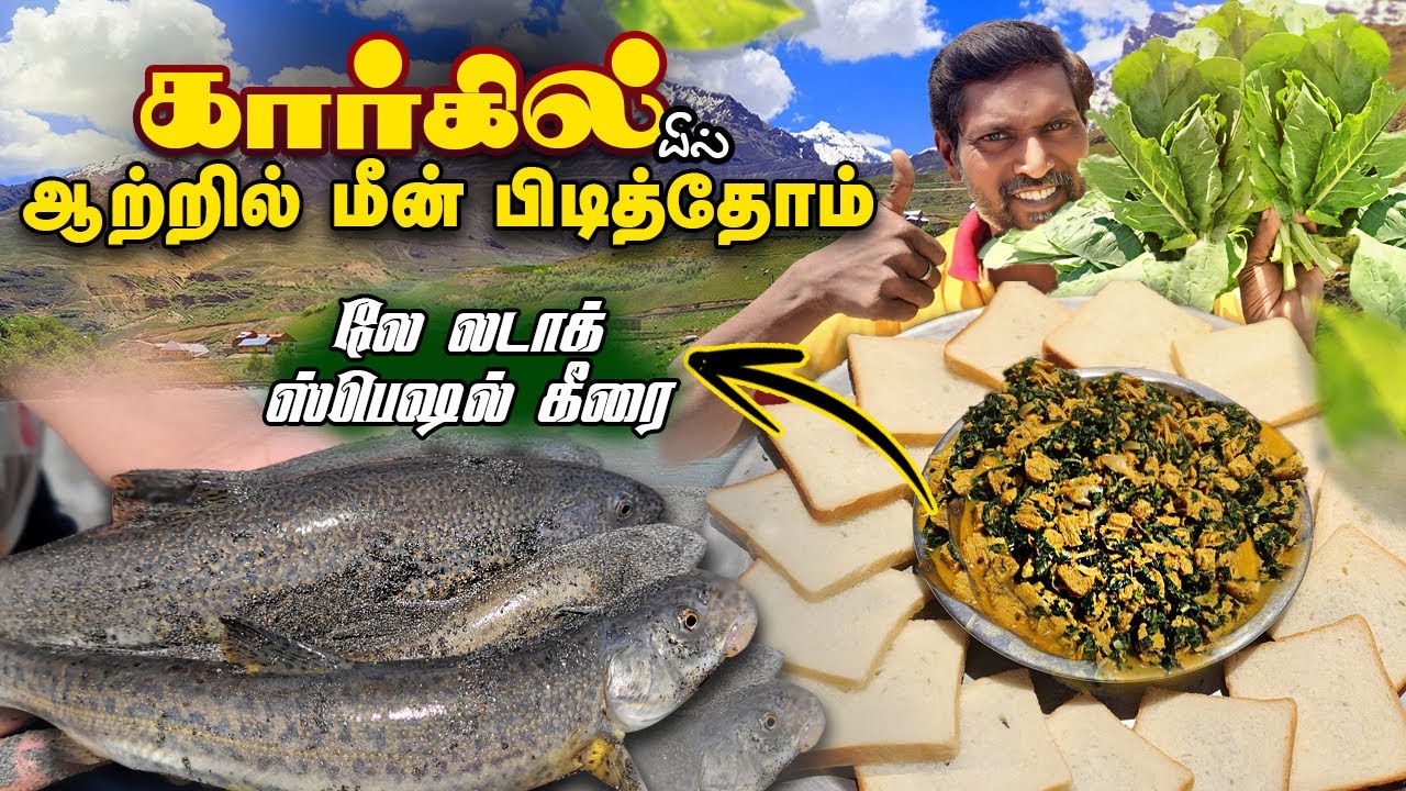 கடைசி காணொளி 🙂 லடாக் மலைப்பகுதியில் | லே லடாக் ஸ்பெஷல்- கீரை சப்ஜி ...