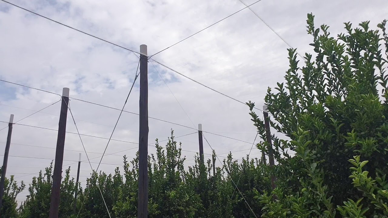 Agriculture net house. AWT AGRICULTURAL NETTING - YouTube