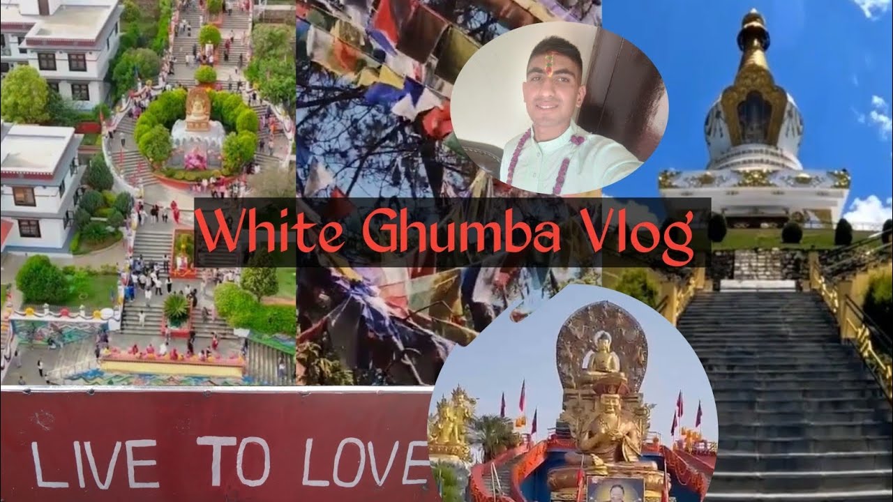 First Vlog On White Gumba Morning Walk Vlog 😍😍 // Red Gumba - YouTube