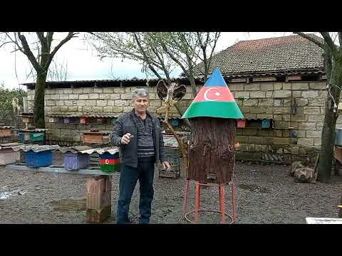 Novruz bayramı münasibətilə bütün dostları təbrik edirəm.