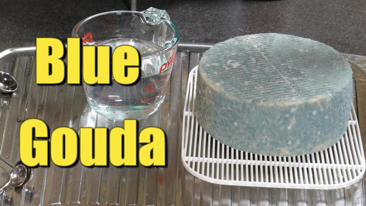 How to make a Blue Gouda - YouTube