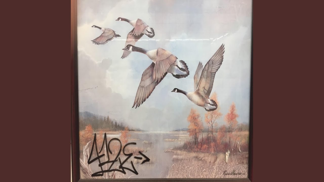 Free Samples - YouTube