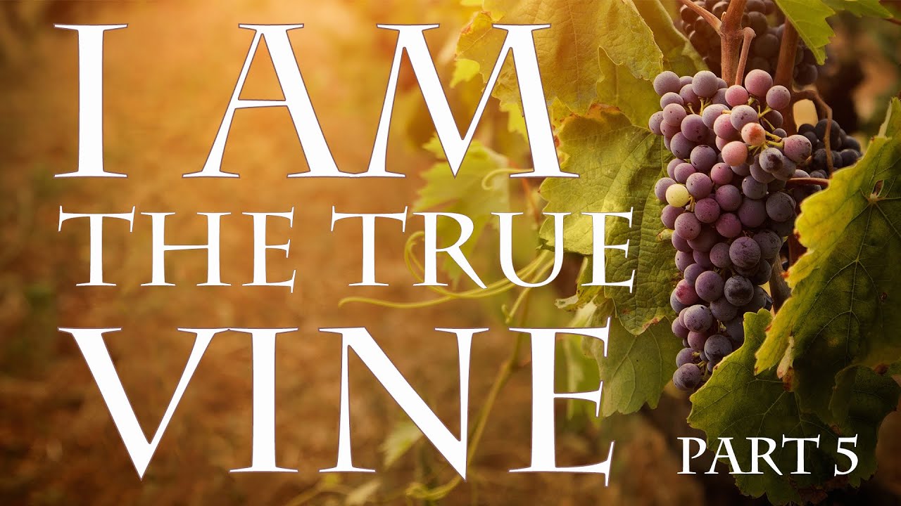 I AM the True Vine Part 5 - YouTube