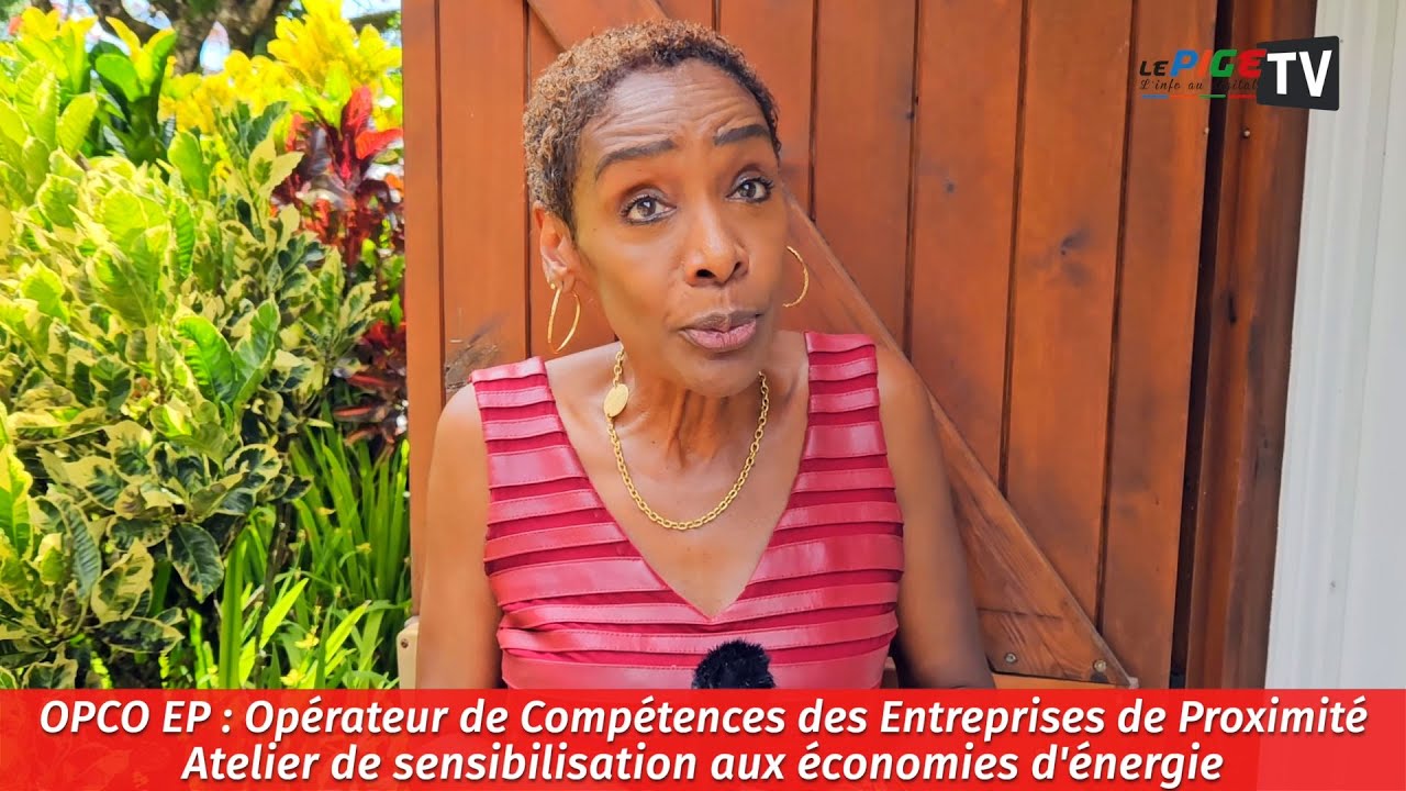 OPCO EP : Atelier de sensibilisation aux économies d'énergie - YouTube