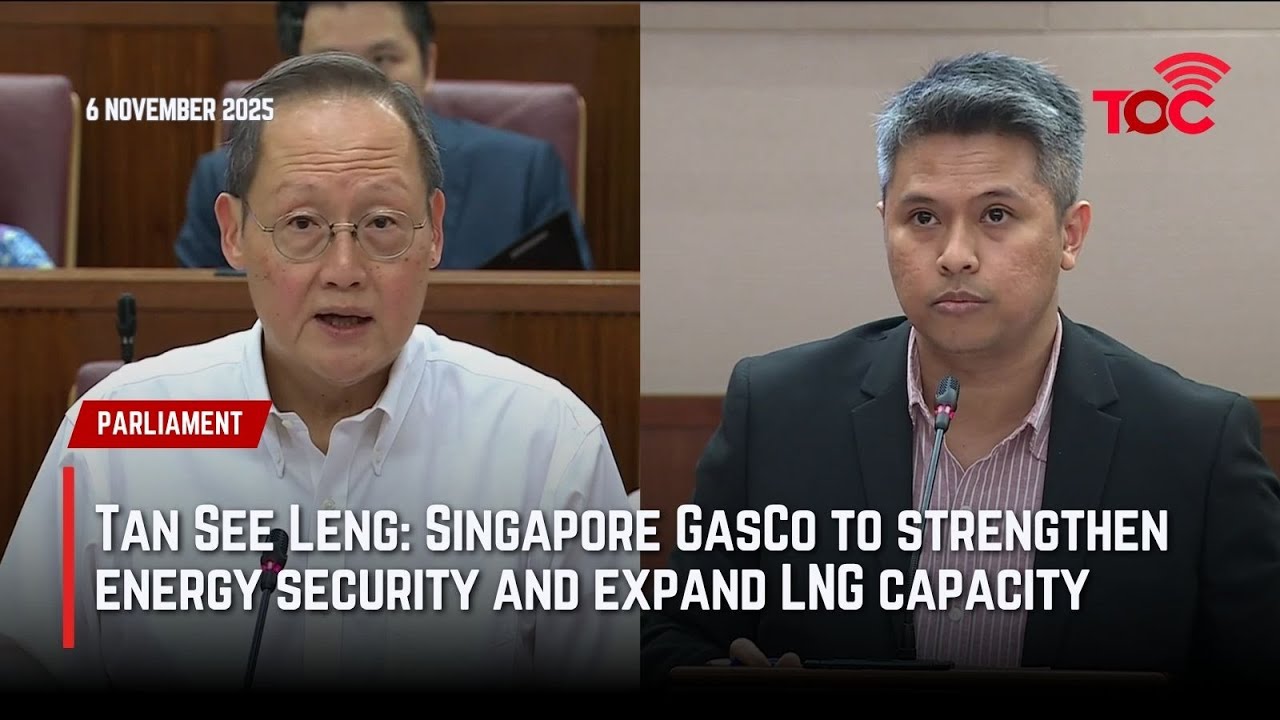 Tan See Leng: Singapore GasCo to strengthen energy security and expand ...
