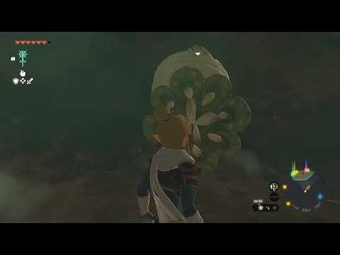 Zelda Tears of the kingdom Like Like Vore (Sheik Link) - YouTube