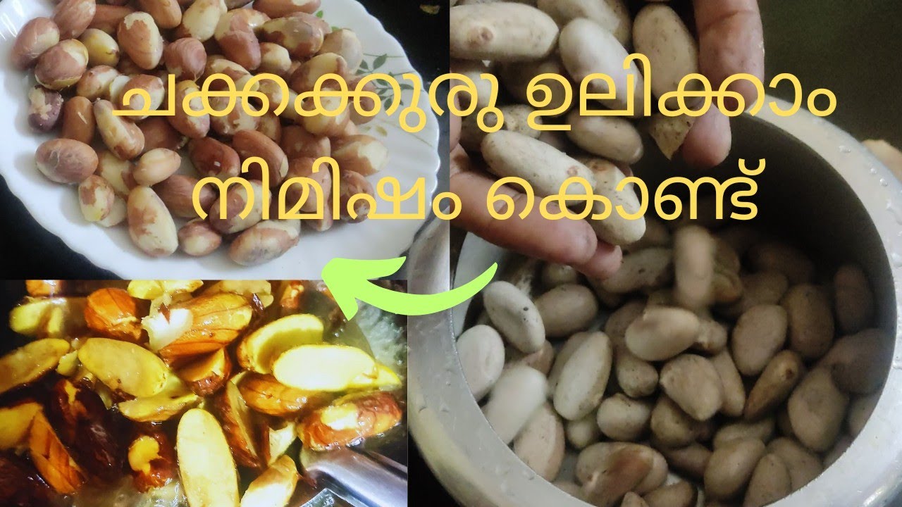 ചക്ക ക്കുരു കുക്കറിൽ ഇടൂ എത്ര തിന്നാലും മതി വരൂല How To Store