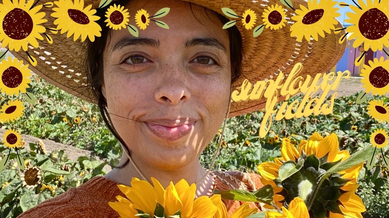 Farm Vlogs: My First Time At Hana Sunflower Fields - YouTube