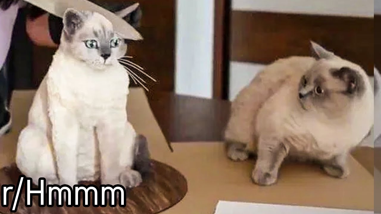 r/Hmmm | This could be you... - YouTube