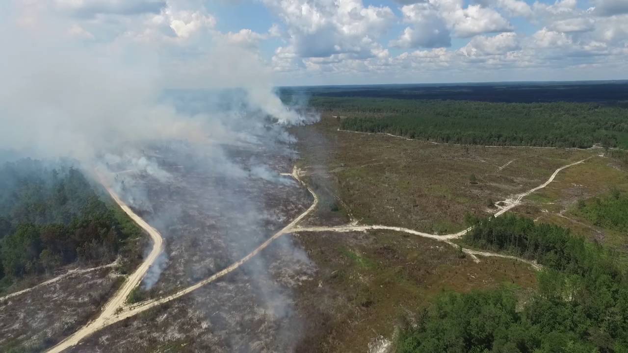 Site Prep Prescribed Burn - YouTube