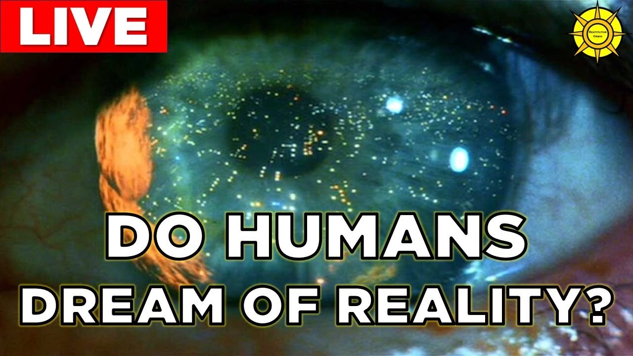 Do Humans Dream of Reality? - YouTube