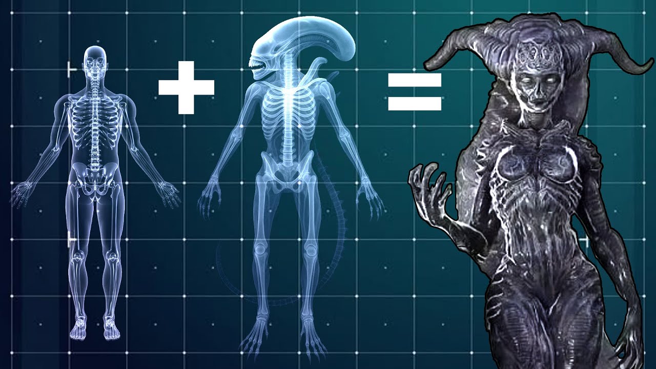 Human Xenomorph Queen Origin : First Human Xenomorph Fusion - YouTube