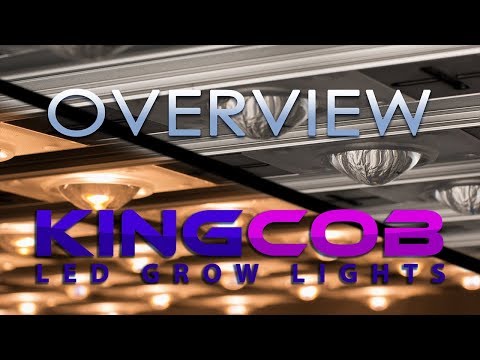 King Cob LED Grow Light - Best New LED 2018  - COB Technology