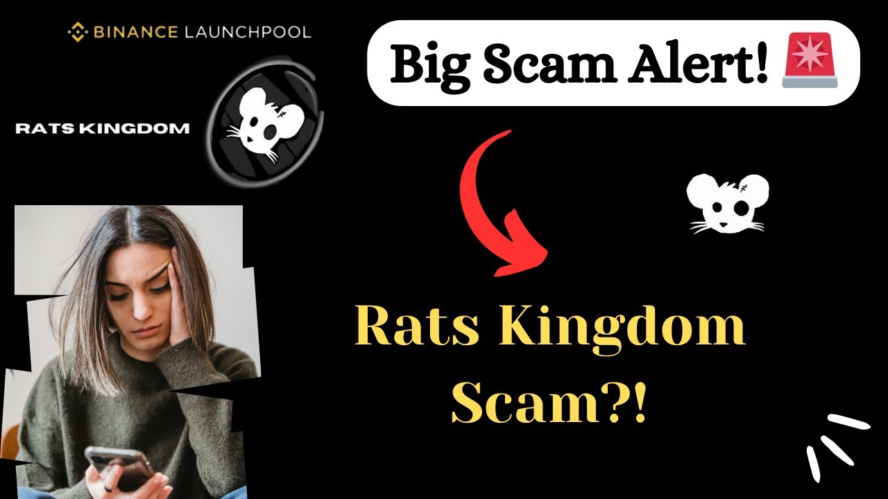 🪙 Rats Kingdom: Real or Scam? Don’t Miss the Truth! | Rats Kingdom ...