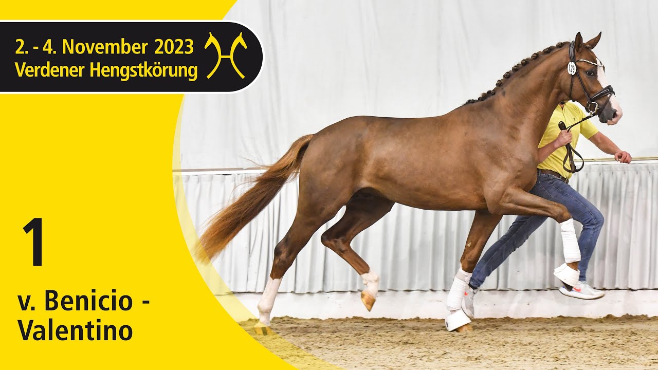 Verden Stallion Licensing 2023 - Dressage - Nov. 2-4 - No. 1 Stallion ...