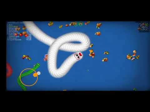 free cacing putih - YouTube