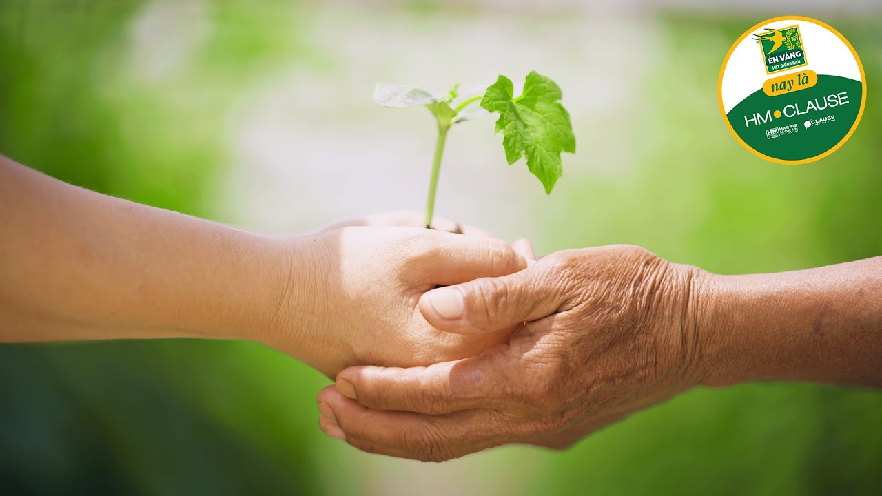 Én Vàng nay là HM.CLAUSE - YouTube