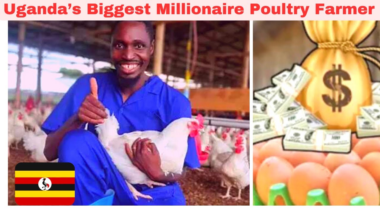 Uganda’s Biggest Millionaire Poultry Farmer!A Retired Medical Doctor’s ...