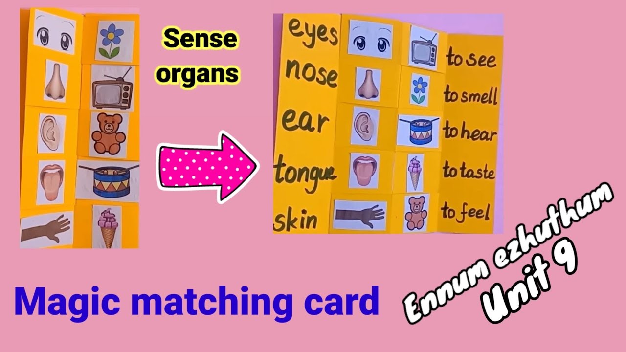 Sense organs tlm/Ennum ezhuthum/unit 9/English TLM/matching card/sense ...