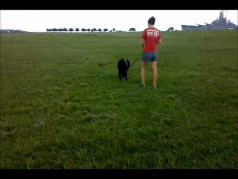 Addy Von Smitzen Haus Tracking 8 3 11 - YouTube