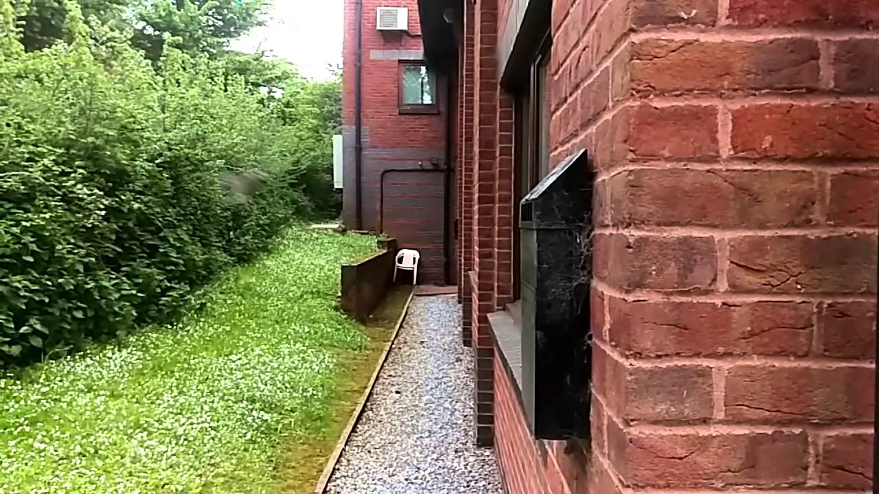 Bird's Nesting at Work - YouTube