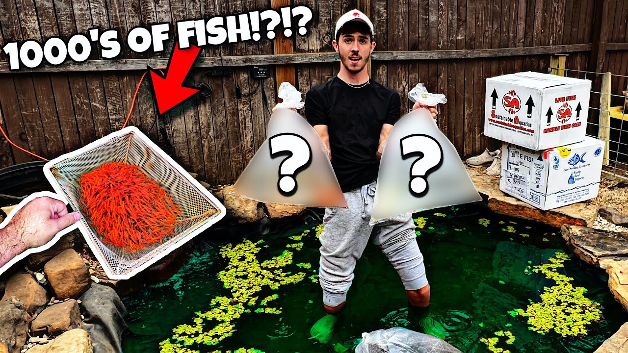 Buying 1000's of Fish For His Pond! - YouTube
