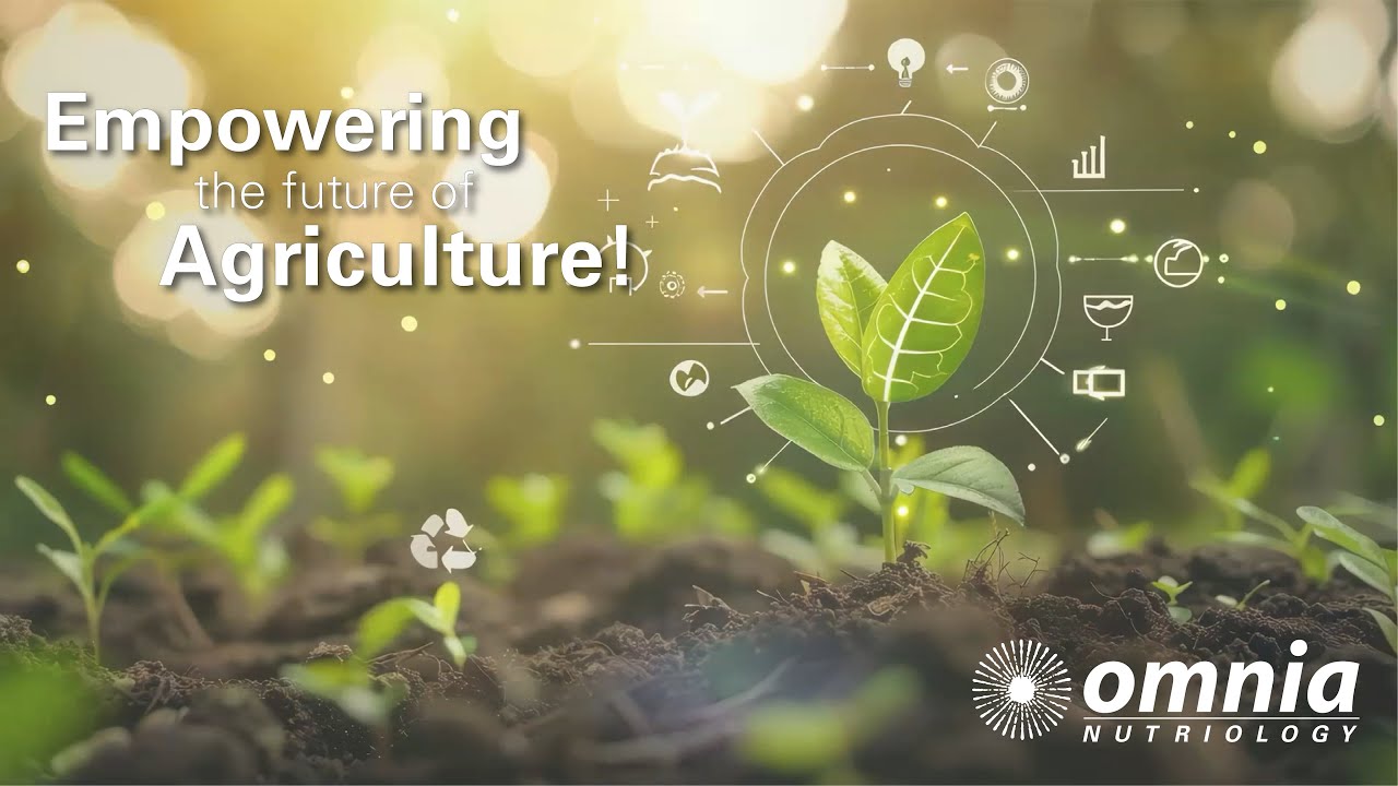 Introduction to Omnia USA - YouTube