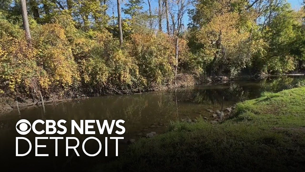 Body found by kayaker in Rouge River identified as missing Wayne County ...