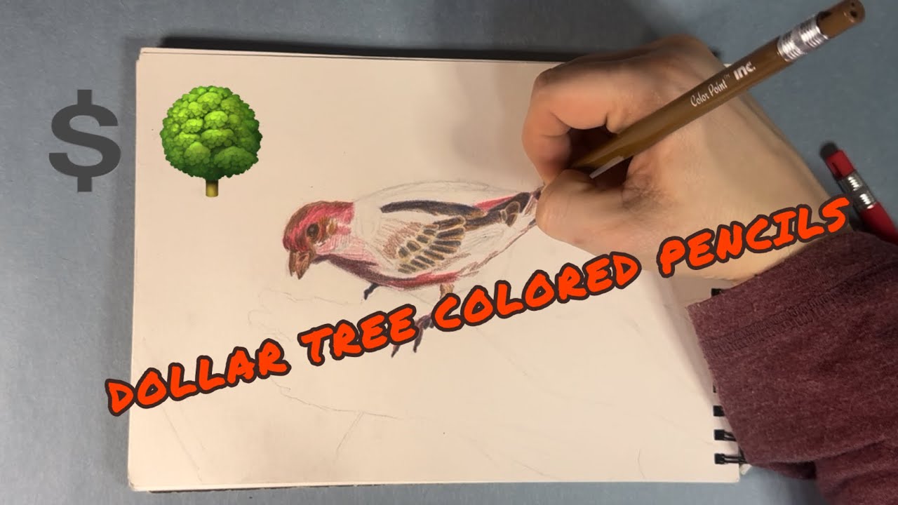 Reviewing INC Color Point Colored Pencils - YouTube
