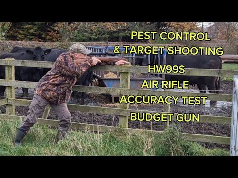 PEST CONTROL & TARGET SHOOTING HW99S 177 ACCURACY BUDGET AIR RIFLE ...