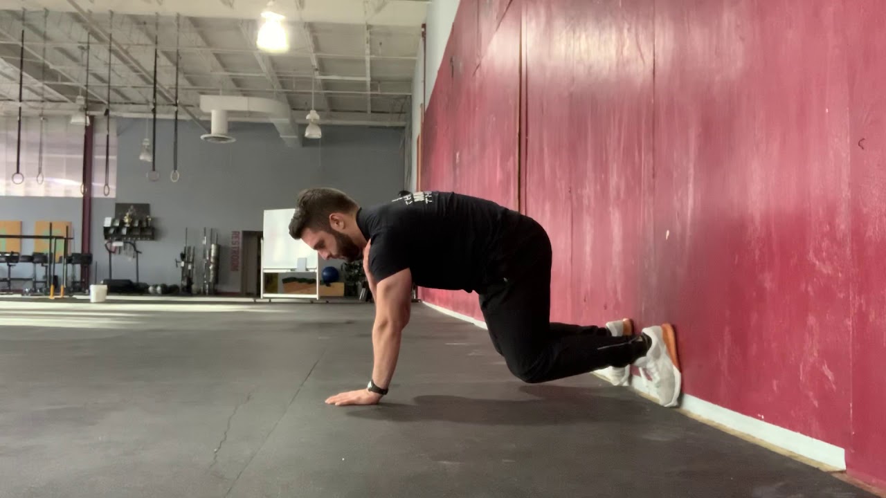 Bear Hold Shoulder Taps | Heel Reference - YouTube