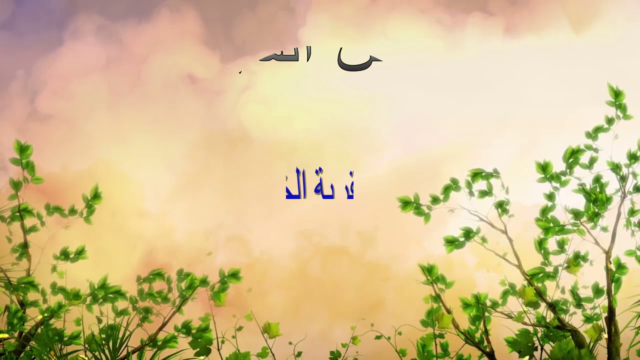 Red Flourish Background Loop Free 2 - YouTube