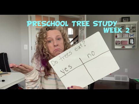 Preschool Tree Study Week 2 (Virtual) - YouTube